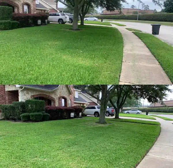 Expert Landscaping Contractor in Los Lunas , NM 87031